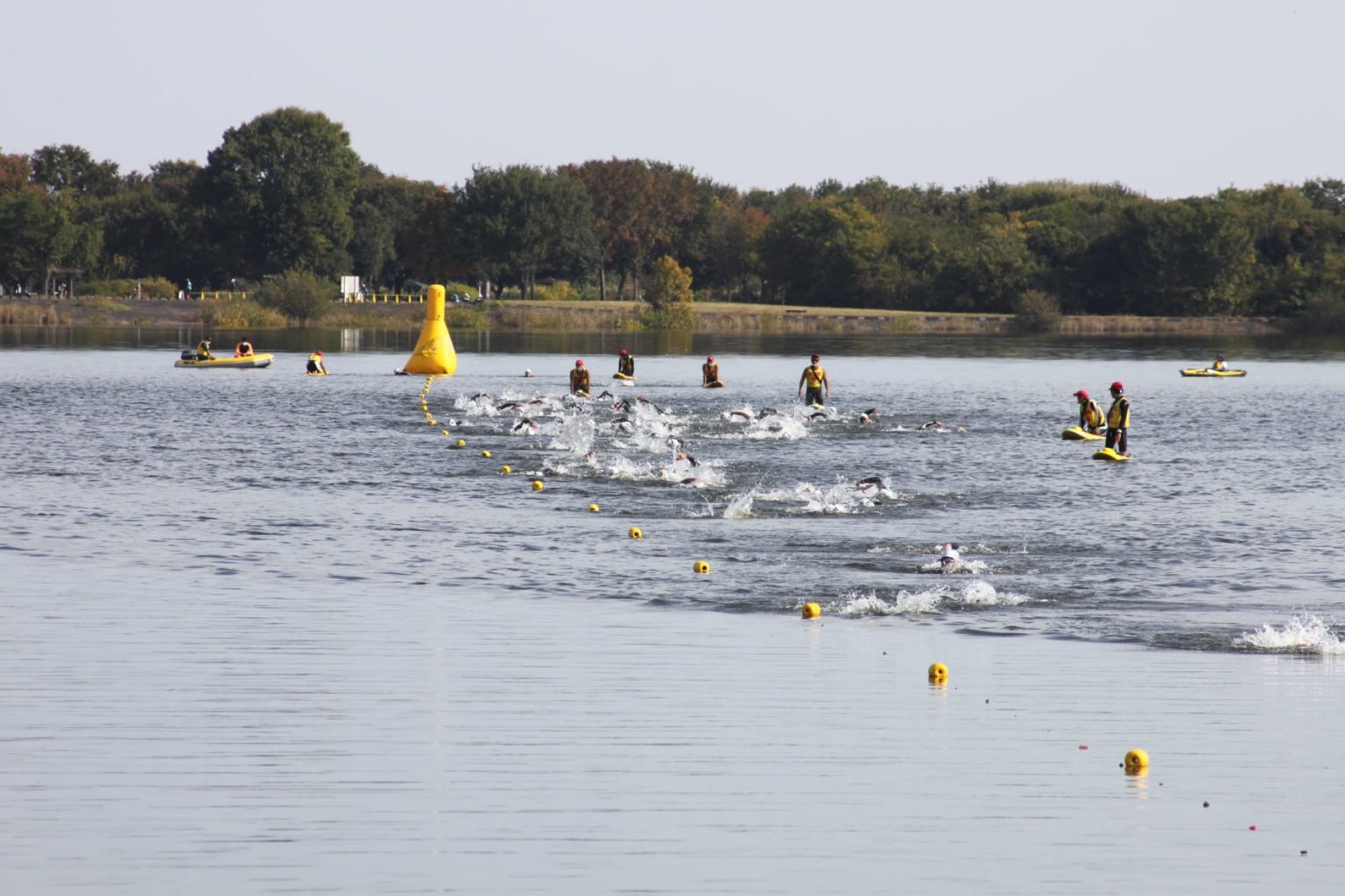 TECTA-PDS introduced in Japanese University Triathlon Championship ...